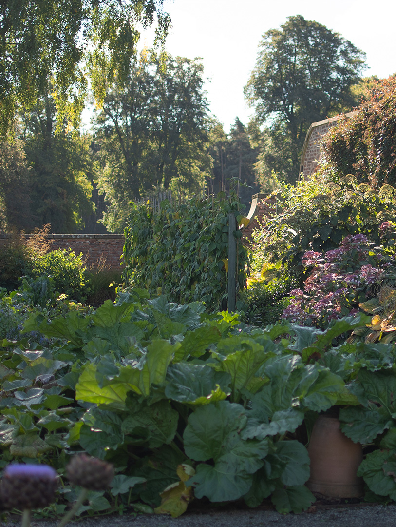 Autumn on the Estate - Middleton Lodge