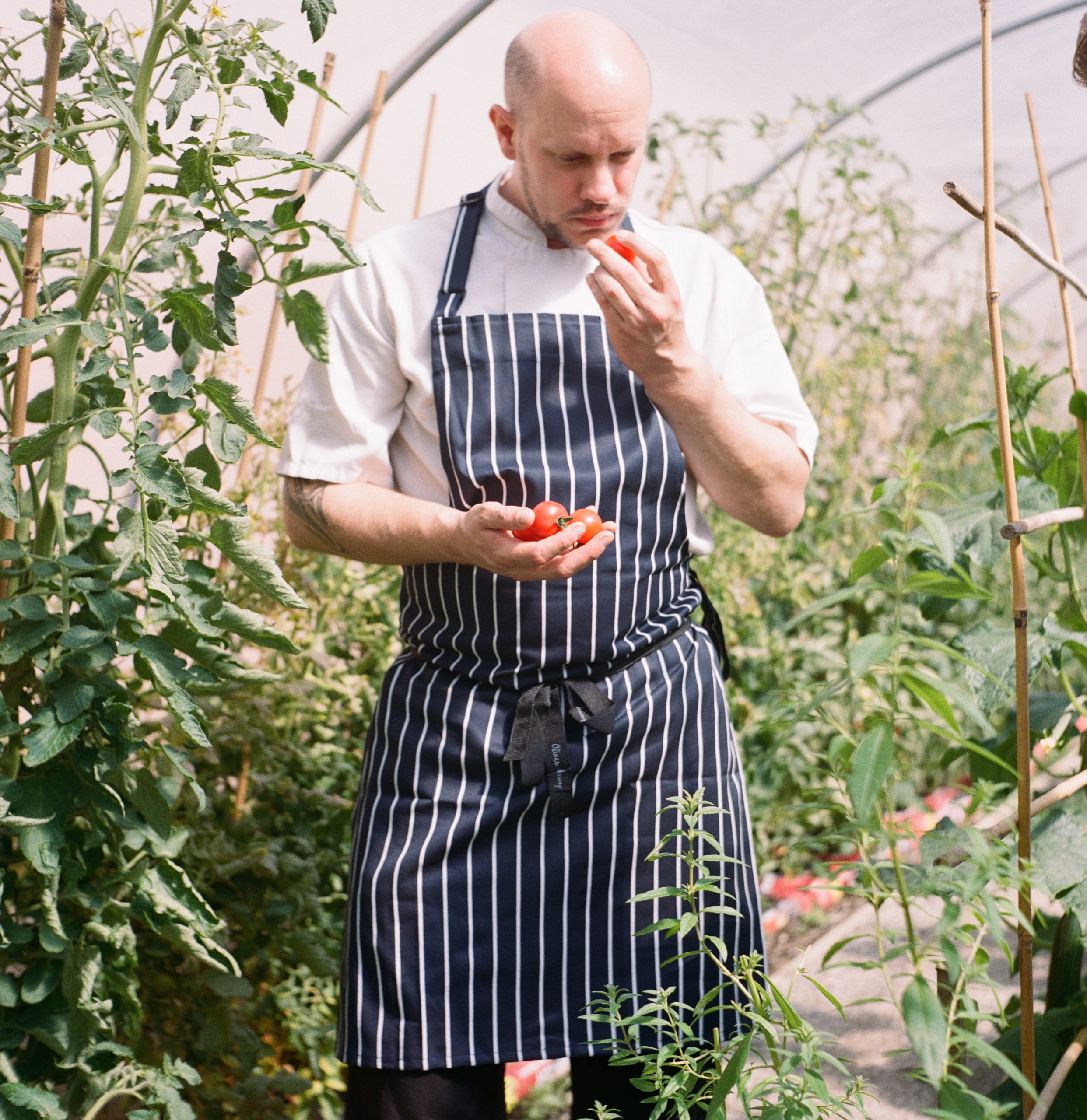 Summer Forage, Pickle & Preserve Workshop - Middleton Lodge